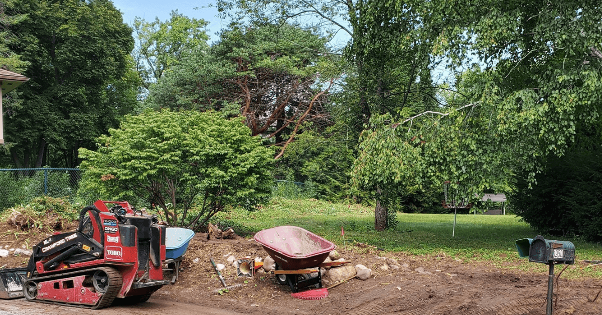 Best Trees and Shrubs to Plant in Milwaukee’s Climate